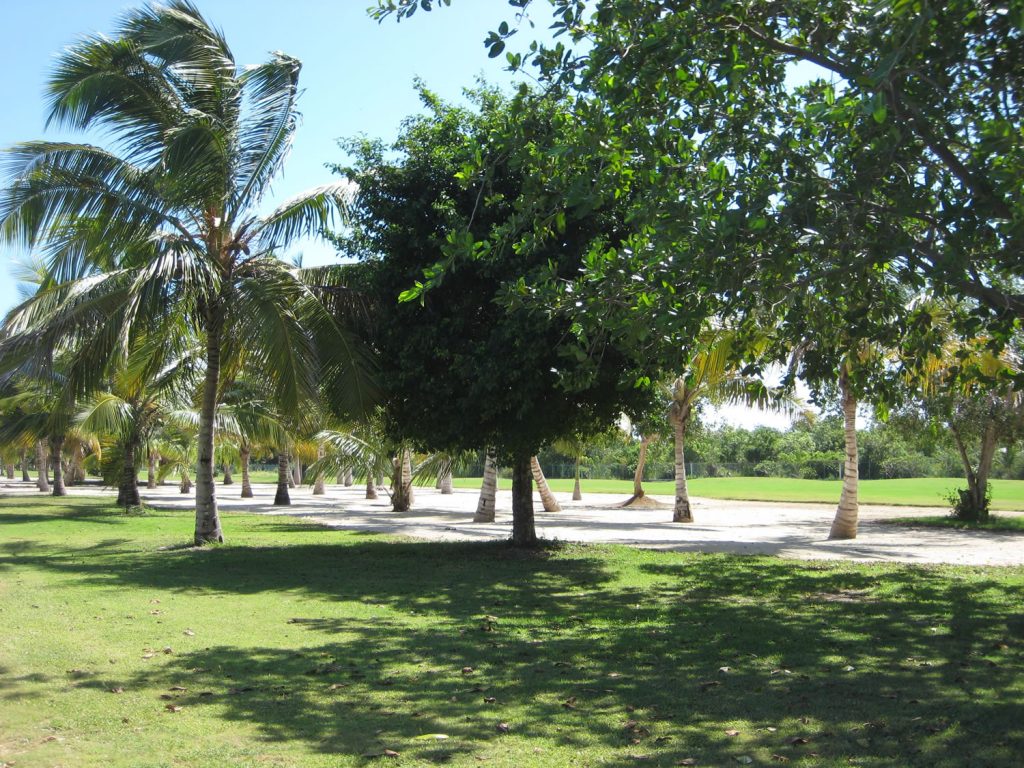 Golf Dominicano | Catalonia Caribe Golf Club
